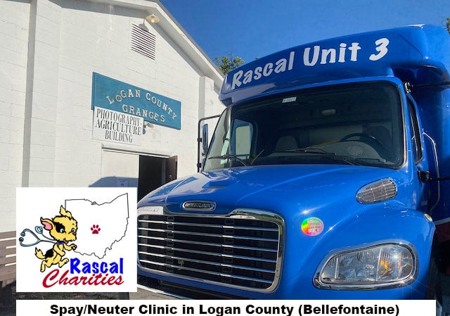 rascal animal clinic
